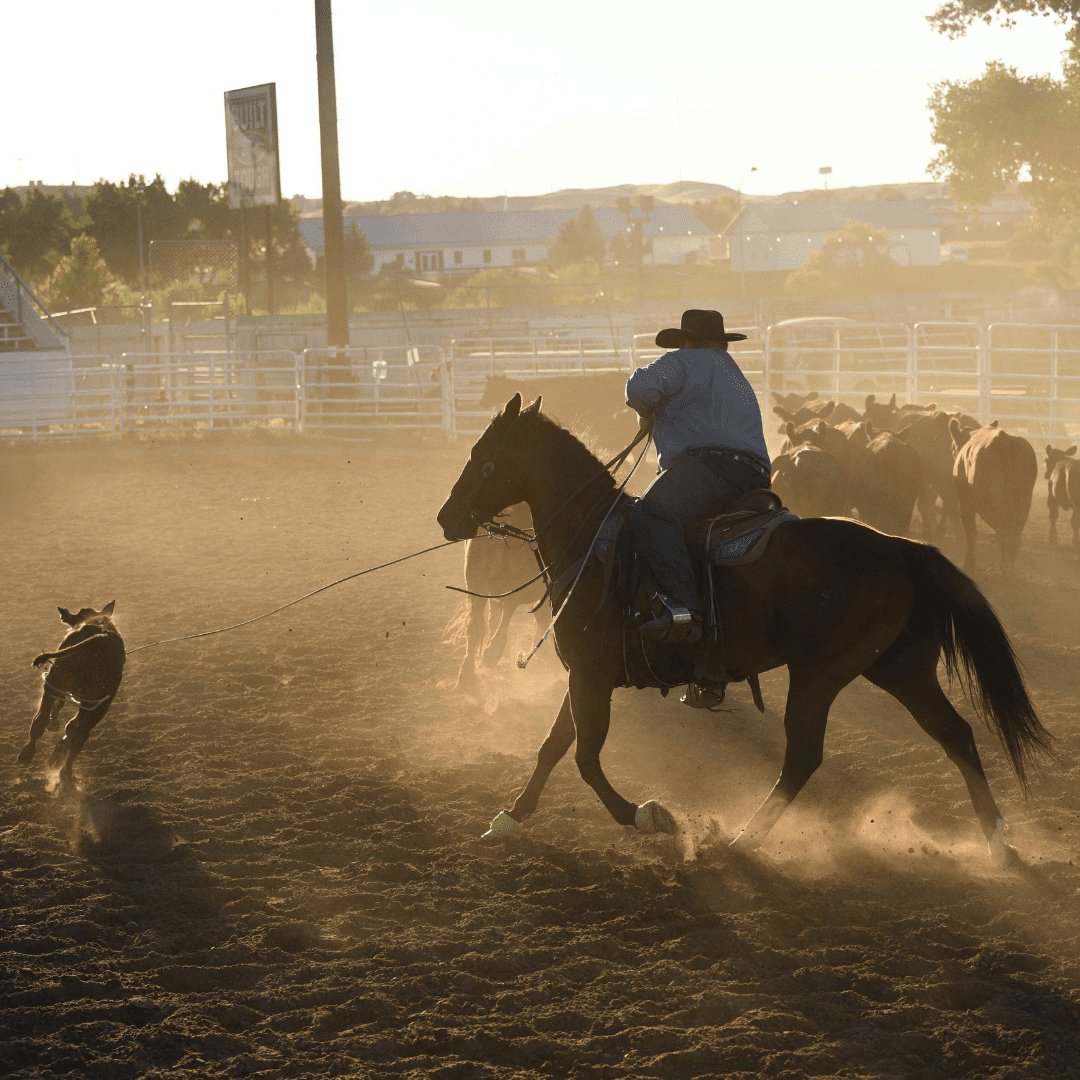 Wyoming State Fair Proudly Showcases the Best of Wyoming - Wyoming ...